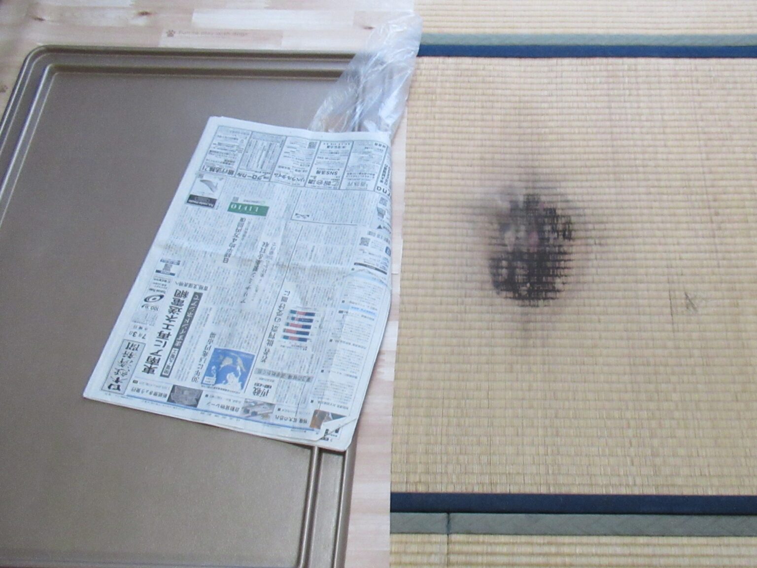 居心地よくペットと暮らす 和室床リフォーム | YELLHOUSE